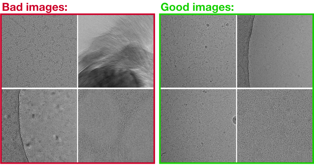 auto_micassess – COSMIC2