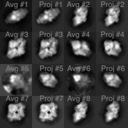 Align Projections – COSMIC2