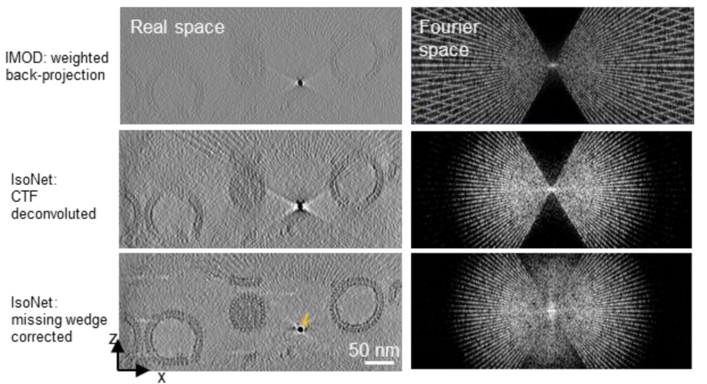 New tool: Isonet refine (cryo-ET!) – COSMIC2