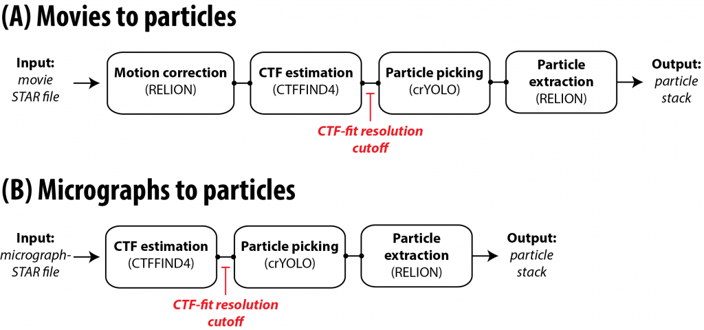 Preprocessing cryo-EM data – COSMIC2
